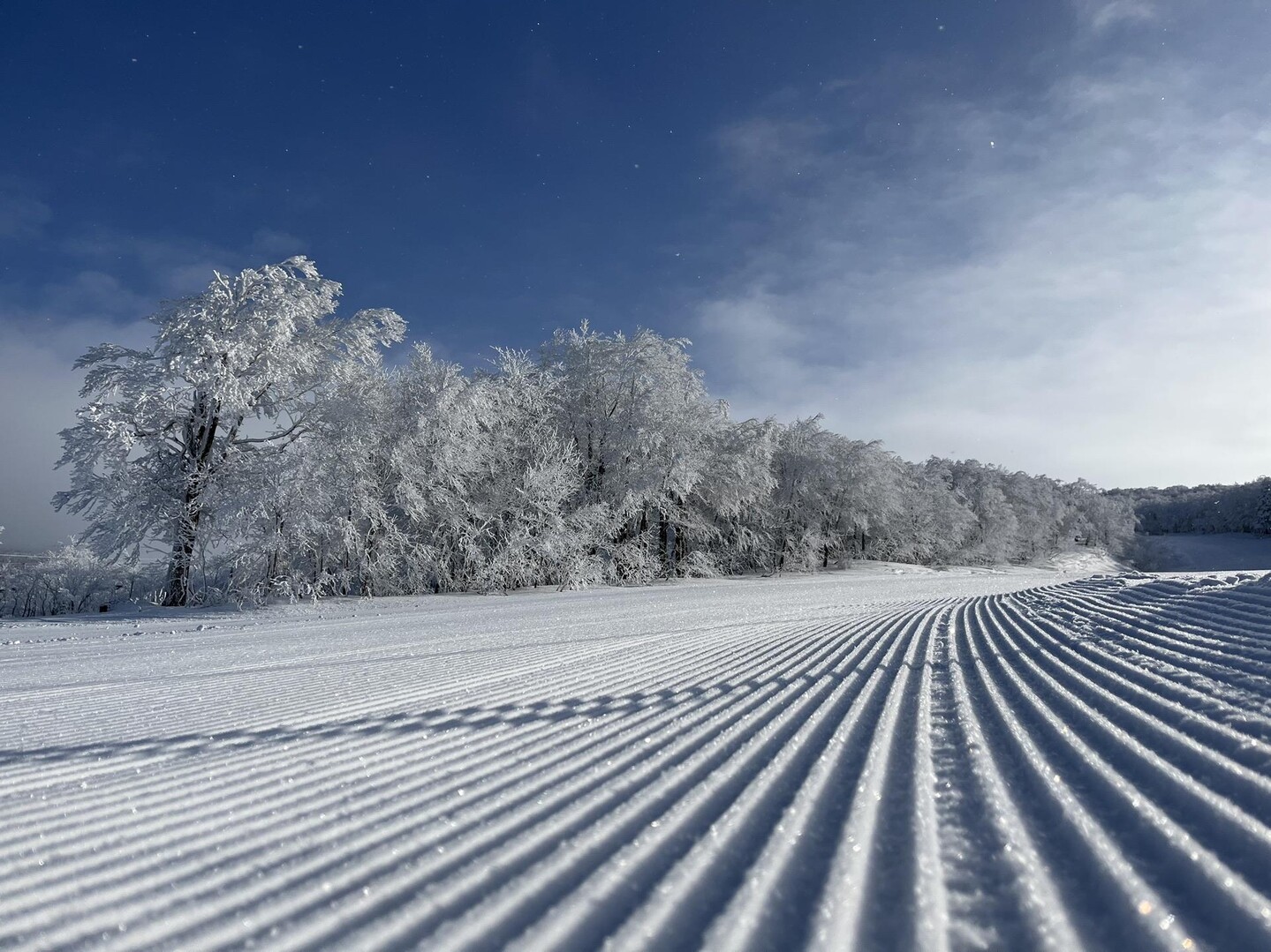 刈田岳・仙人沢 / shanneiさんの蔵王山・雁戸山・不忘山の活動データ | YAMAP / ヤマップ