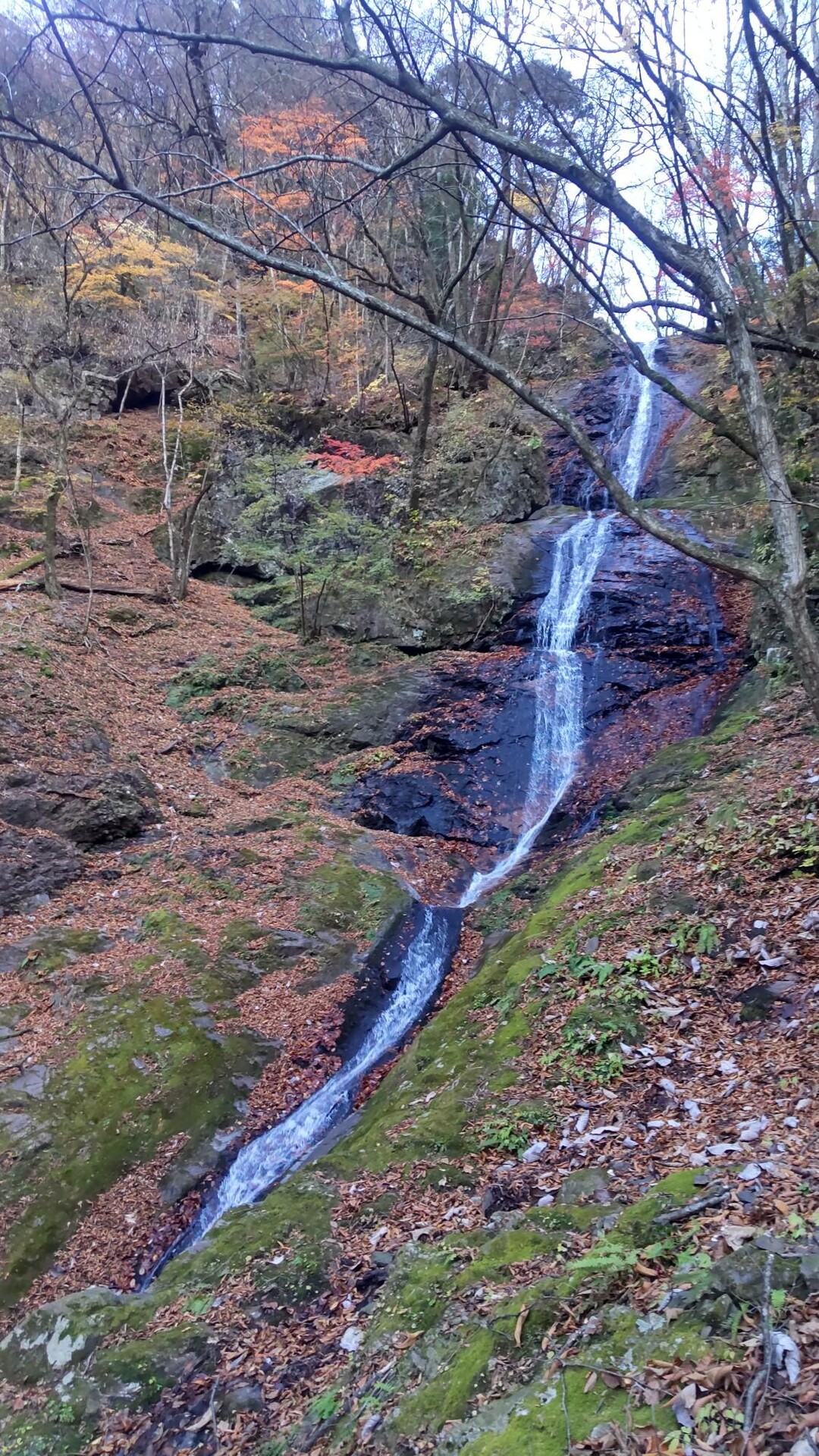 碧岩・大岩 / B.Bearさんの碧岩・大岩の活動データ | YAMAP / ヤマップ
