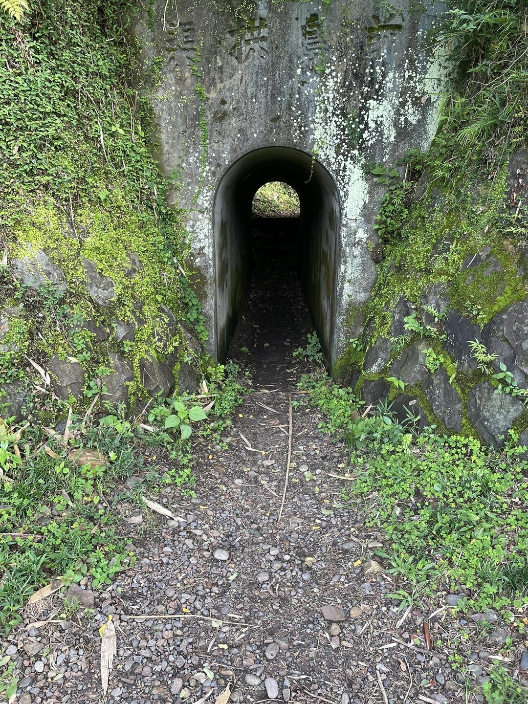 猛暑！遠見山・納古山 / ma_koさんの納古山の活動データ | YAMAP / ヤマップ