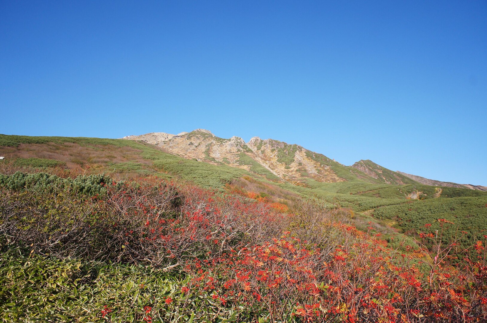2013御嶽山 / はしゃーんさんの登山の活動データ | YAMAP / ヤマップ