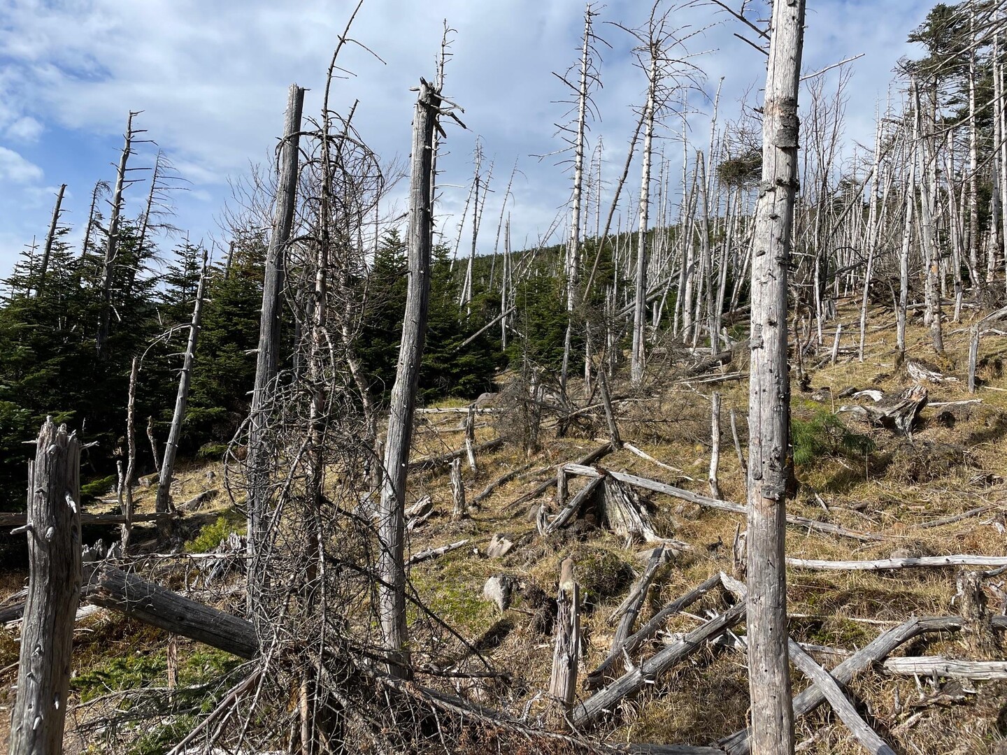 tenboさんの投稿したフィールドメモ | YAMAP / ヤマップ