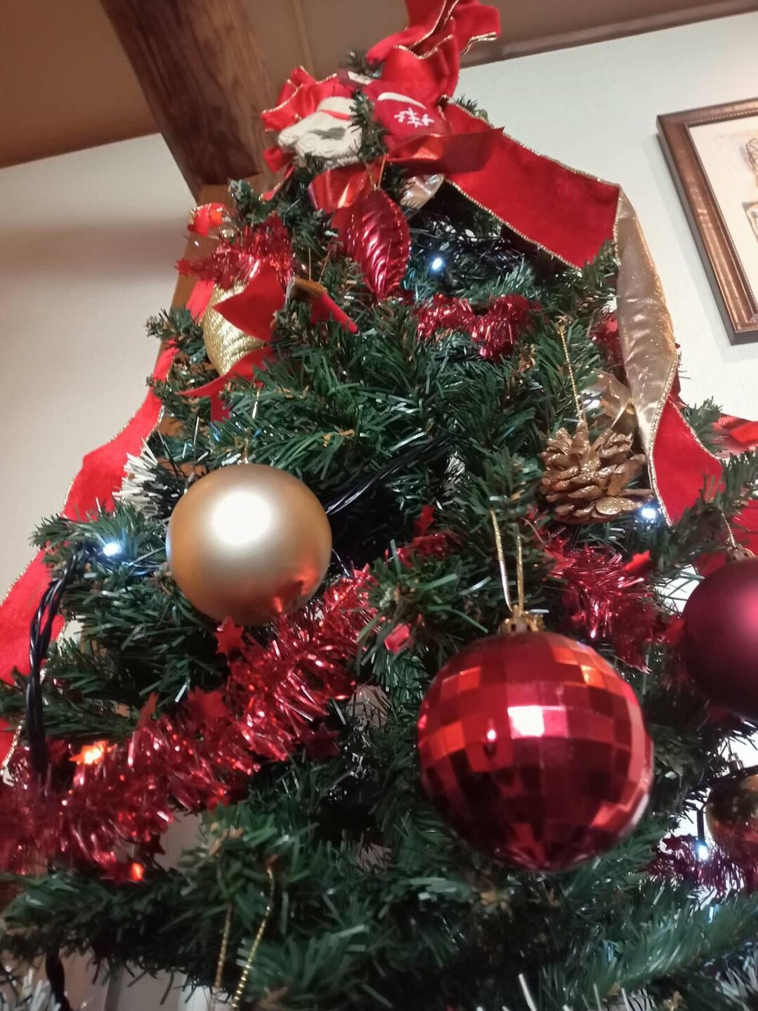 🎅🎄Merry Christmas ... / yoshiさんのモーメント | YAMAP / ヤマップ