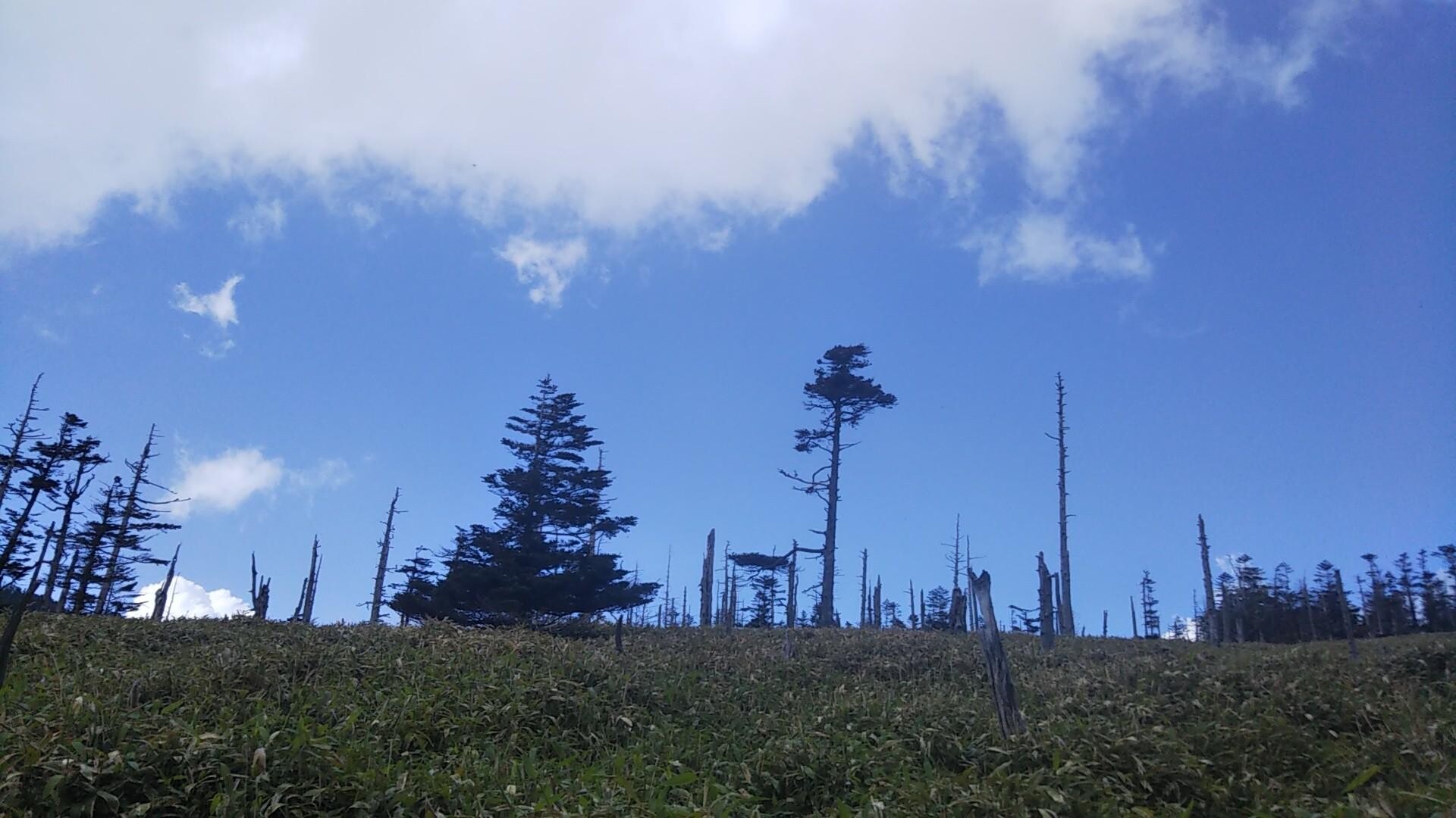 北八ヶ岳プチ縦走feat.中山・丸山20230625 / URJさんの蓼科山・横岳・縞枯山の活動データ | YAMAP / ヤマップ