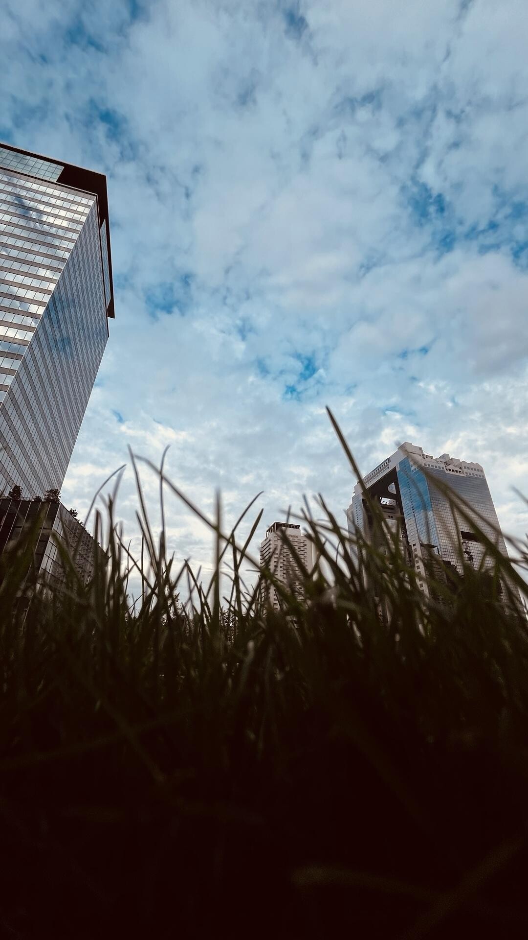 さあ、金曜日！ 週末のアクティビティ👞... / xmatyoさんのモーメント | YAMAP / ヤマップ