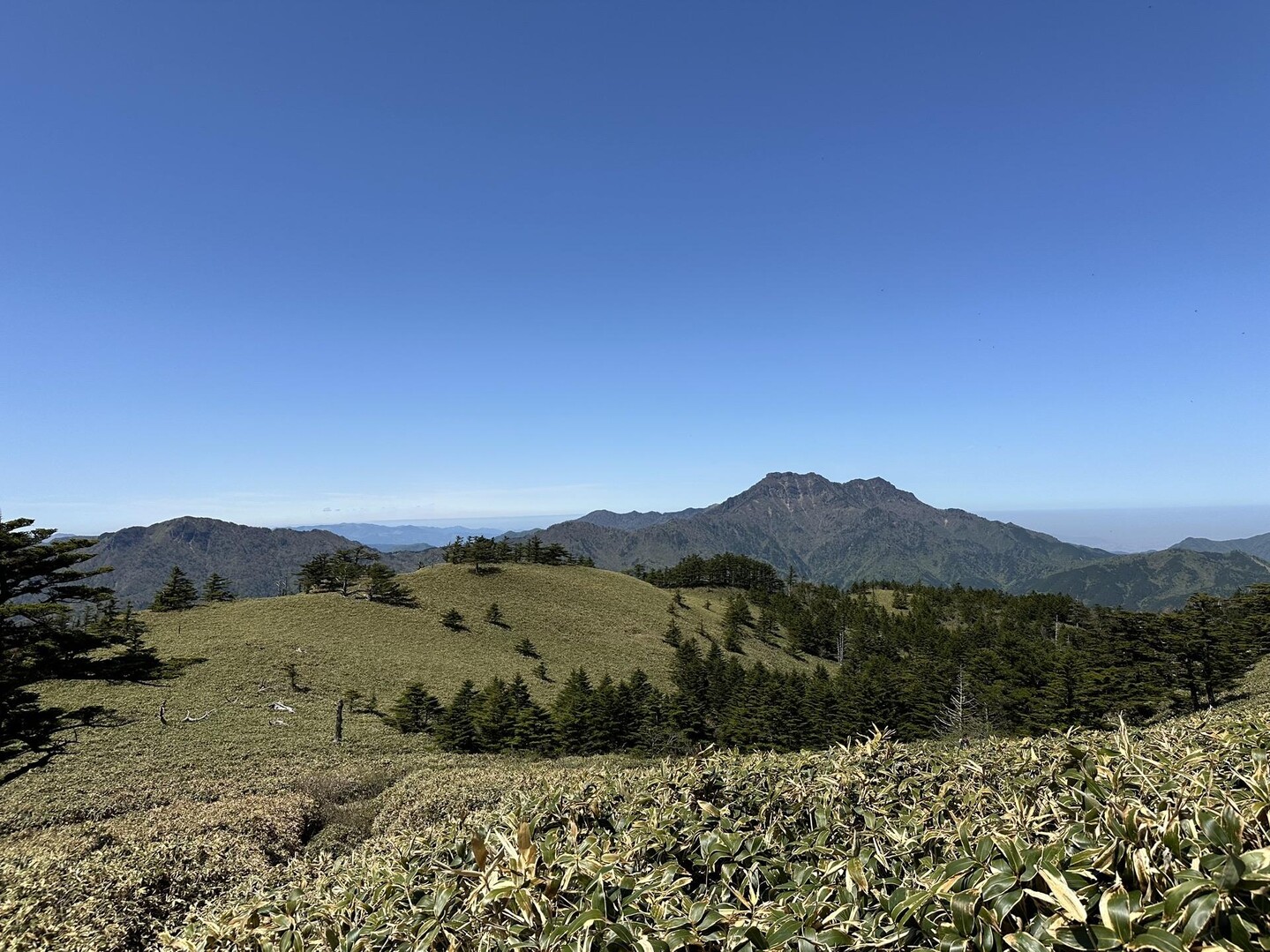 【GW後半】瓶ヶ森・男山 / Junさんの瓶ヶ森・伊予富士の活動データ | YAMAP / ヤマップ