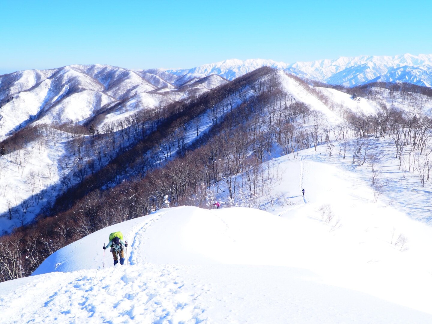 今日も😲 はい、今日も五頭山‼️ / 天ぷらケンジJyJyさんの五頭山・菱ヶ岳・宝珠山の活動データ | YAMAP / ヤマップ