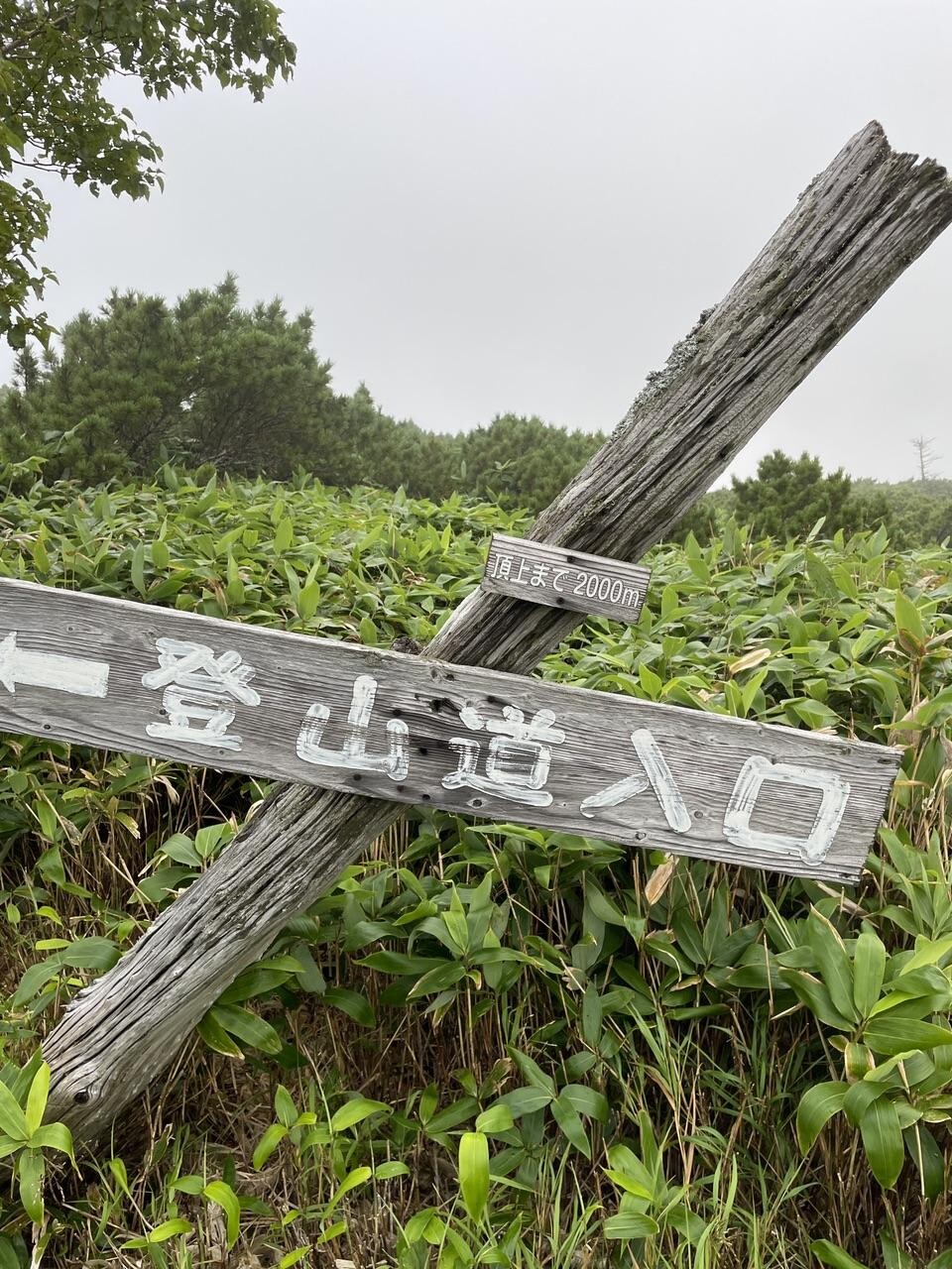 showのページ | YAMAP / ヤマップ