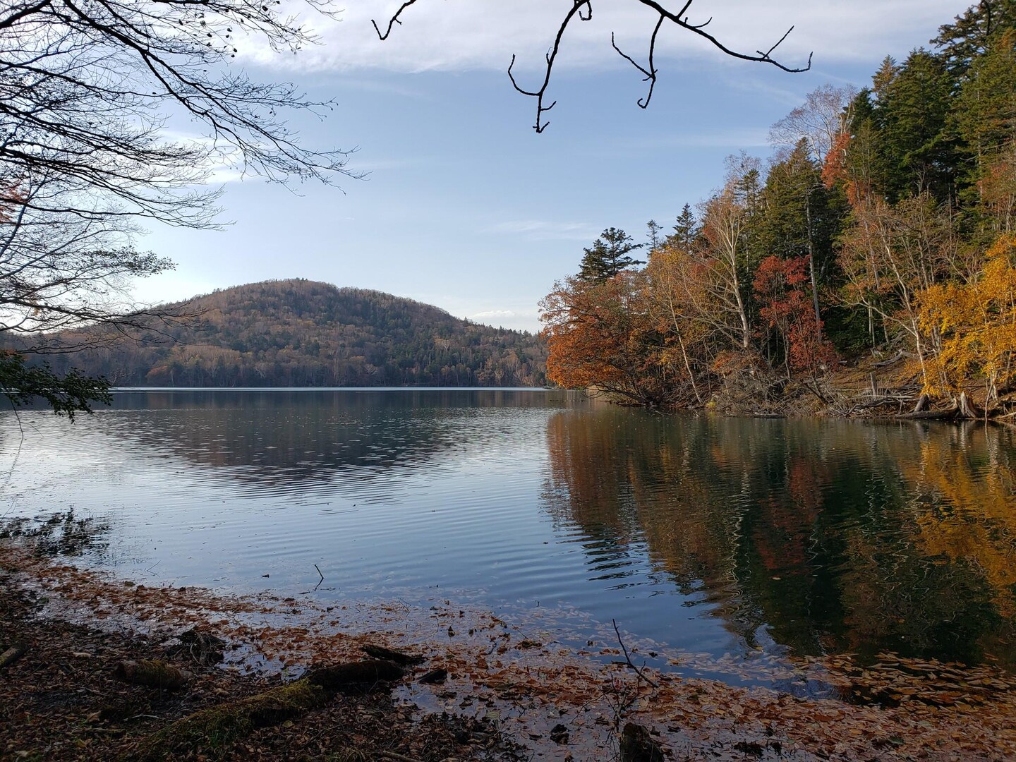 雌阿寒岳・南岳 / Ryu-chanさんの雌阿寒岳・阿寒富士・白湯山の活動データ | YAMAP / ヤマップ