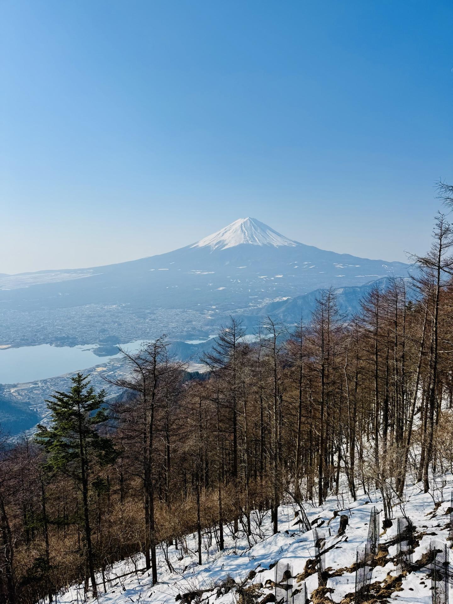 黒岳（御坂黒岳）・破風山 / amuさんの釈迦ヶ岳・大栃山の活動データ | YAMAP / ヤマップ