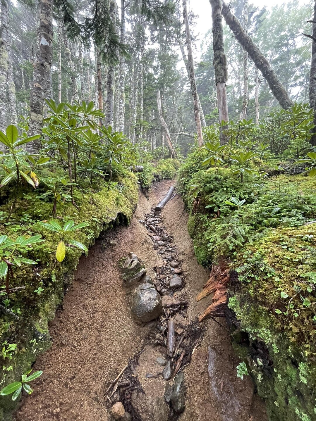 tsk-chaponさんの投稿したフィールドメモ | YAMAP / ヤマップ