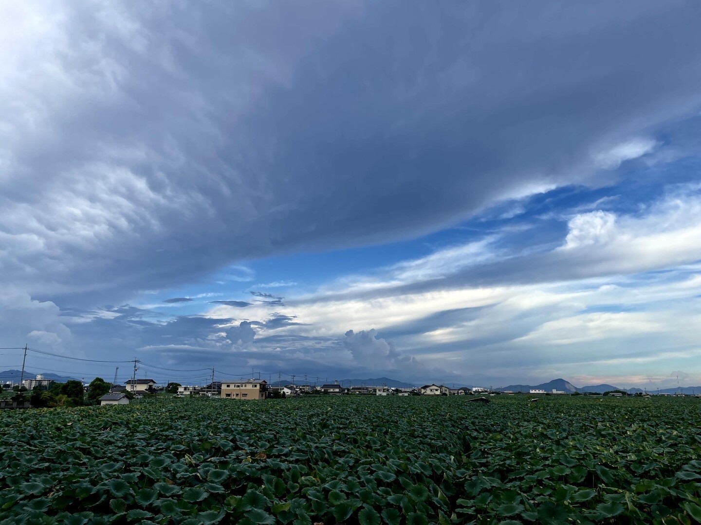 コロナはまだ高熱が続き、7日目に突入しま... / GONKEさんのモーメント | YAMAP / ヤマップ