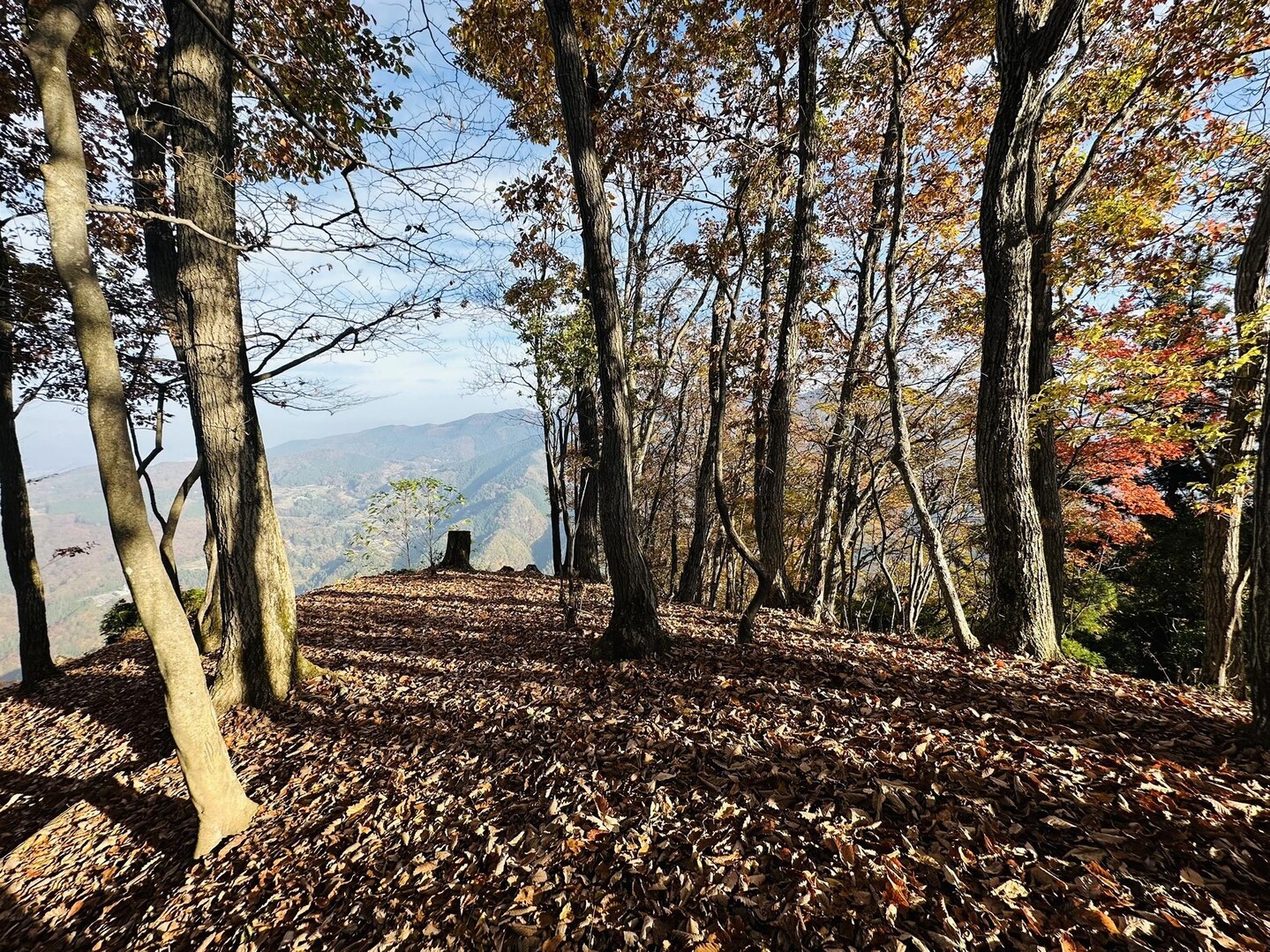 otouさんの投稿したフィールドメモ | YAMAP / ヤマップ