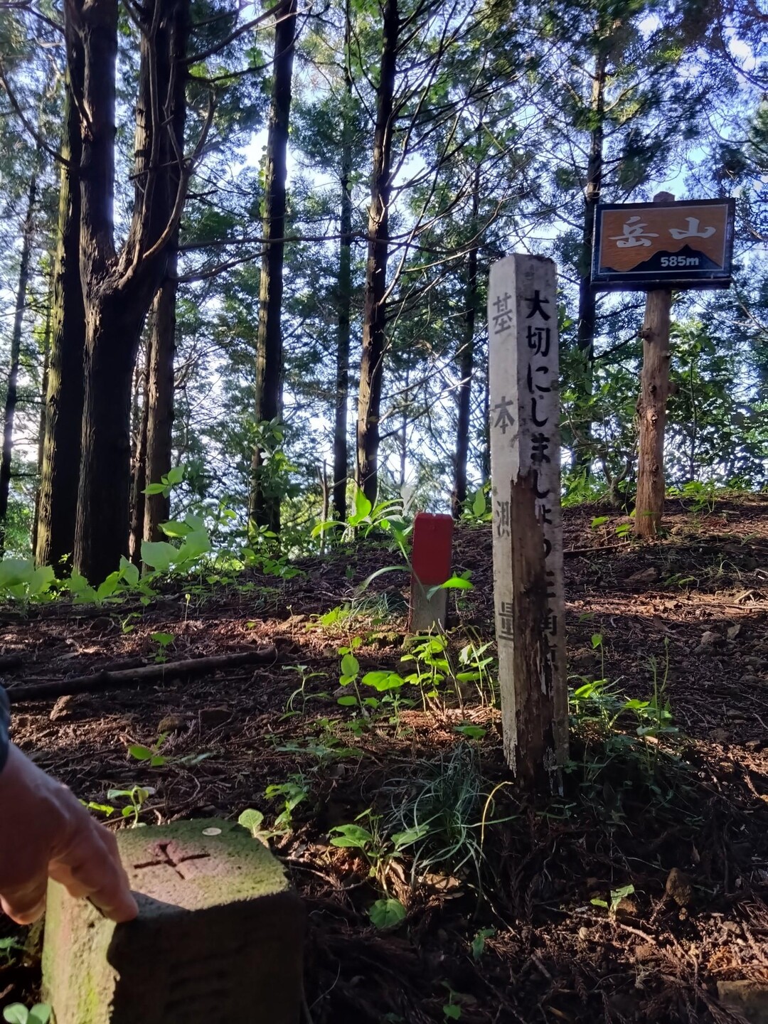 岳山往復/トレーニング / kaji12さんの粟ヶ岳の活動データ | YAMAP / ヤマップ