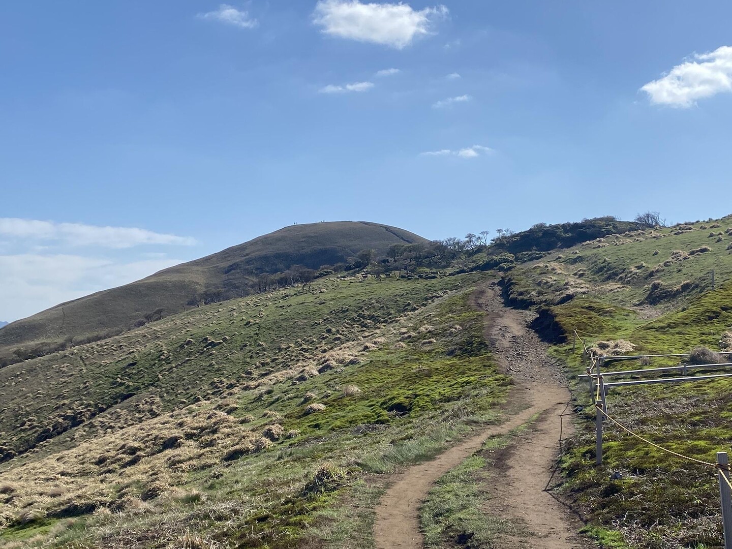 鈴鹿セブンサミッツ(撤退) / NOBUさんの藤原岳・御池岳の活動データ | YAMAP / ヤマップ