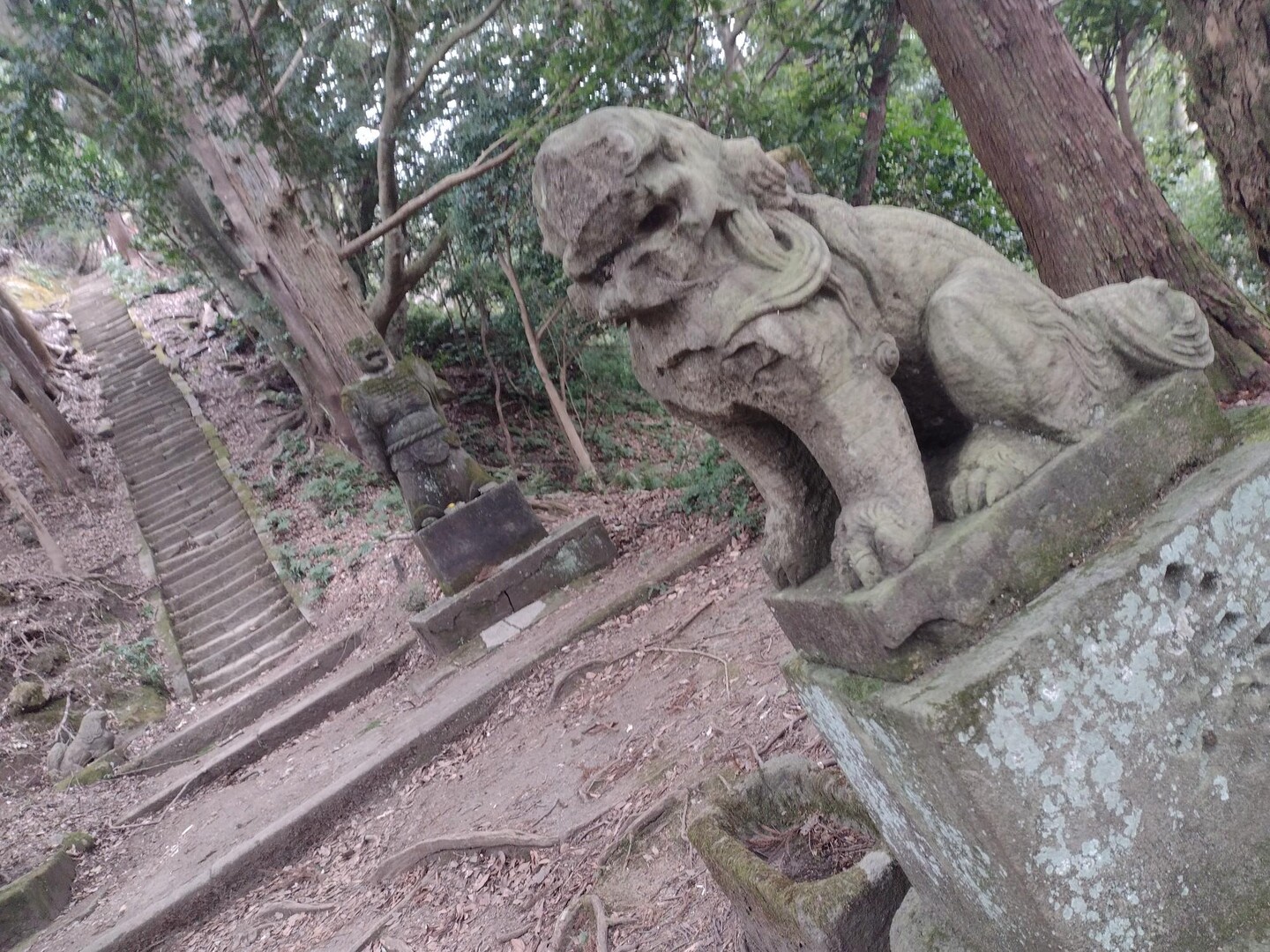 石射太郎山・高宕山周回 / my-kyさんの高宕山・寂光山・大塚山の活動日記 | YAMAP / ヤマップ