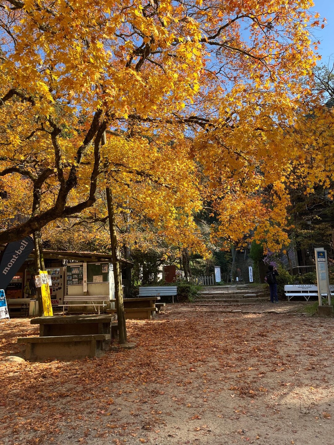 金剛山 / milky55さんの金剛山・二上山・大和葛城山の活動データ | YAMAP / ヤマップ