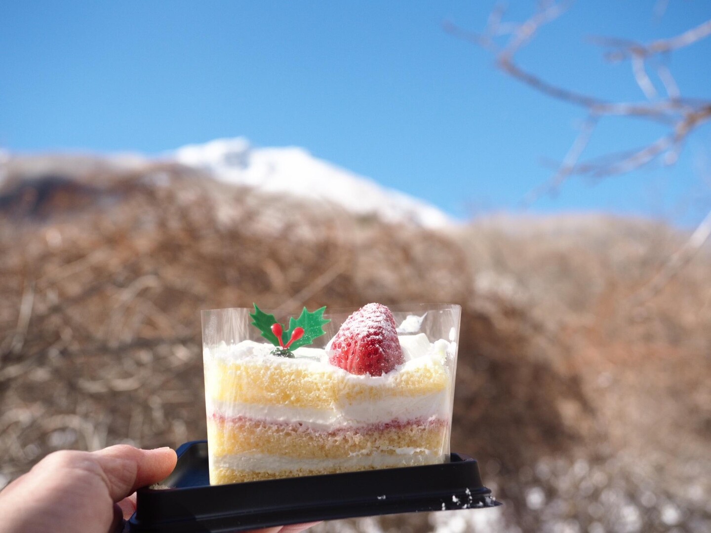 2022-12-24 九重山 佐渡窪までXmas eve 登山 / yosanさんの九重山（久住山）・大船山・星生山の活動データ | YAMAP / ヤマップ