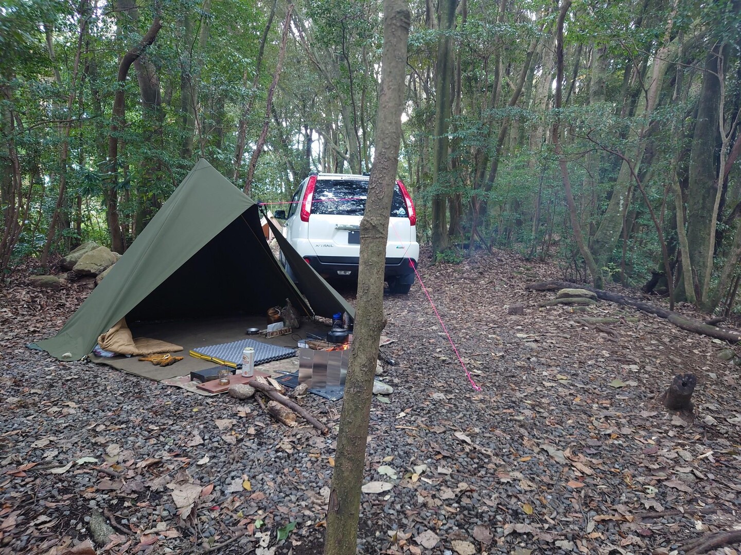 キャンプからの月見山 / RYUさんの明星山・白金山の活動データ | YAMAP / ヤマップ