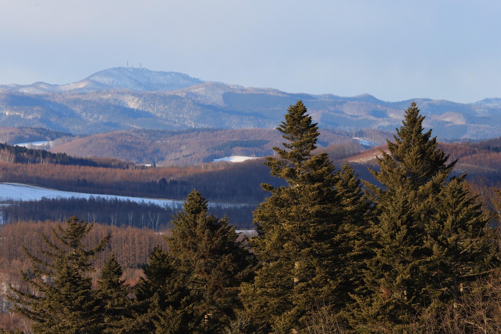 町内林道放浪😁 / かずたOKTさんのウォーキングの活動データ | YAMAP / ヤマップ