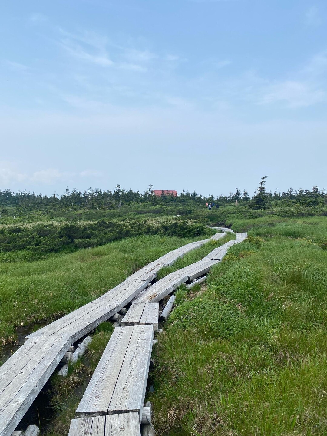 Hiさんの投稿したフィールドメモ | YAMAP / ヤマップ