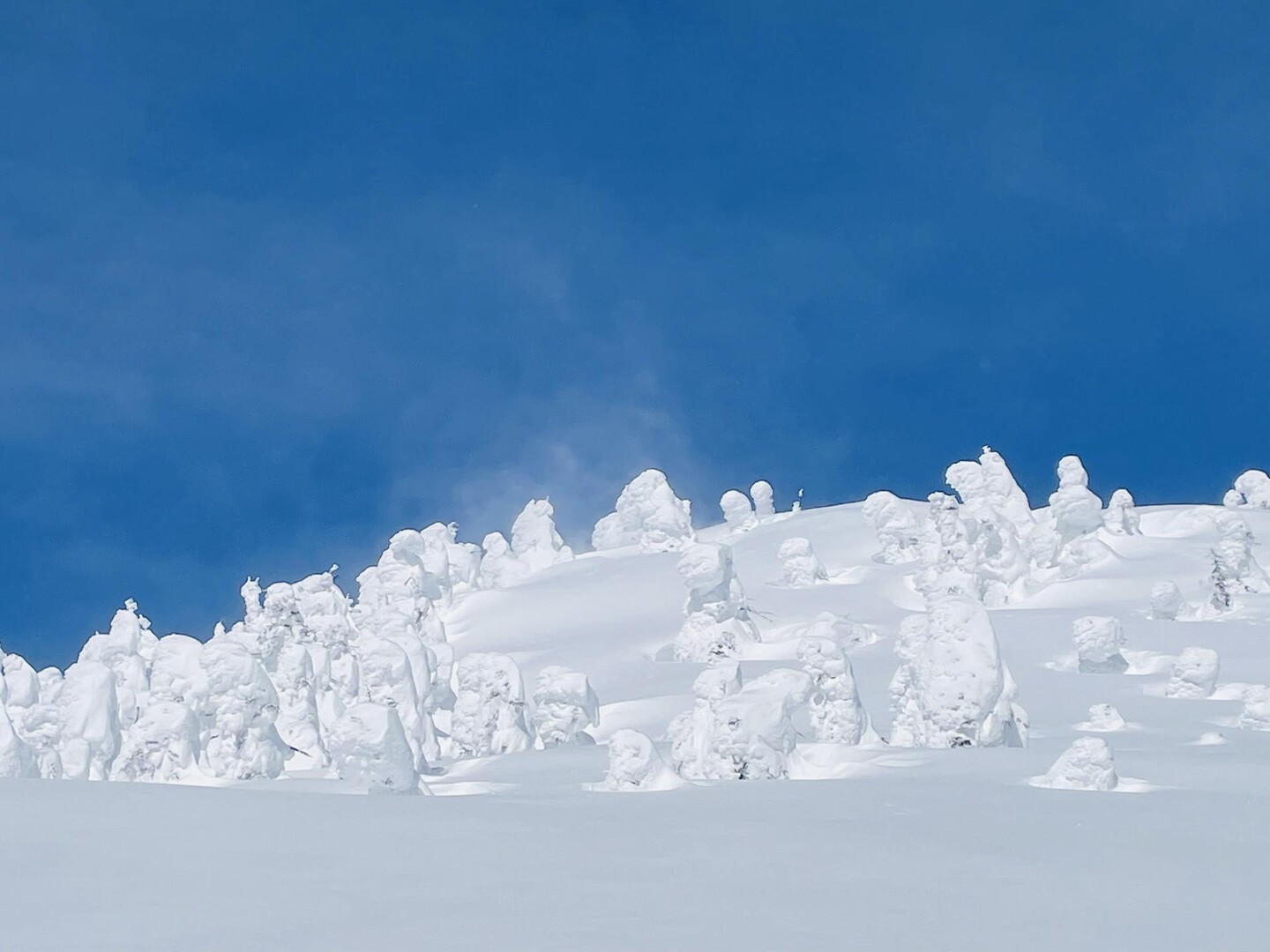 西大巓 BC / hiro@さんの吾妻山・一切経山の活動データ | YAMAP / ヤマップ