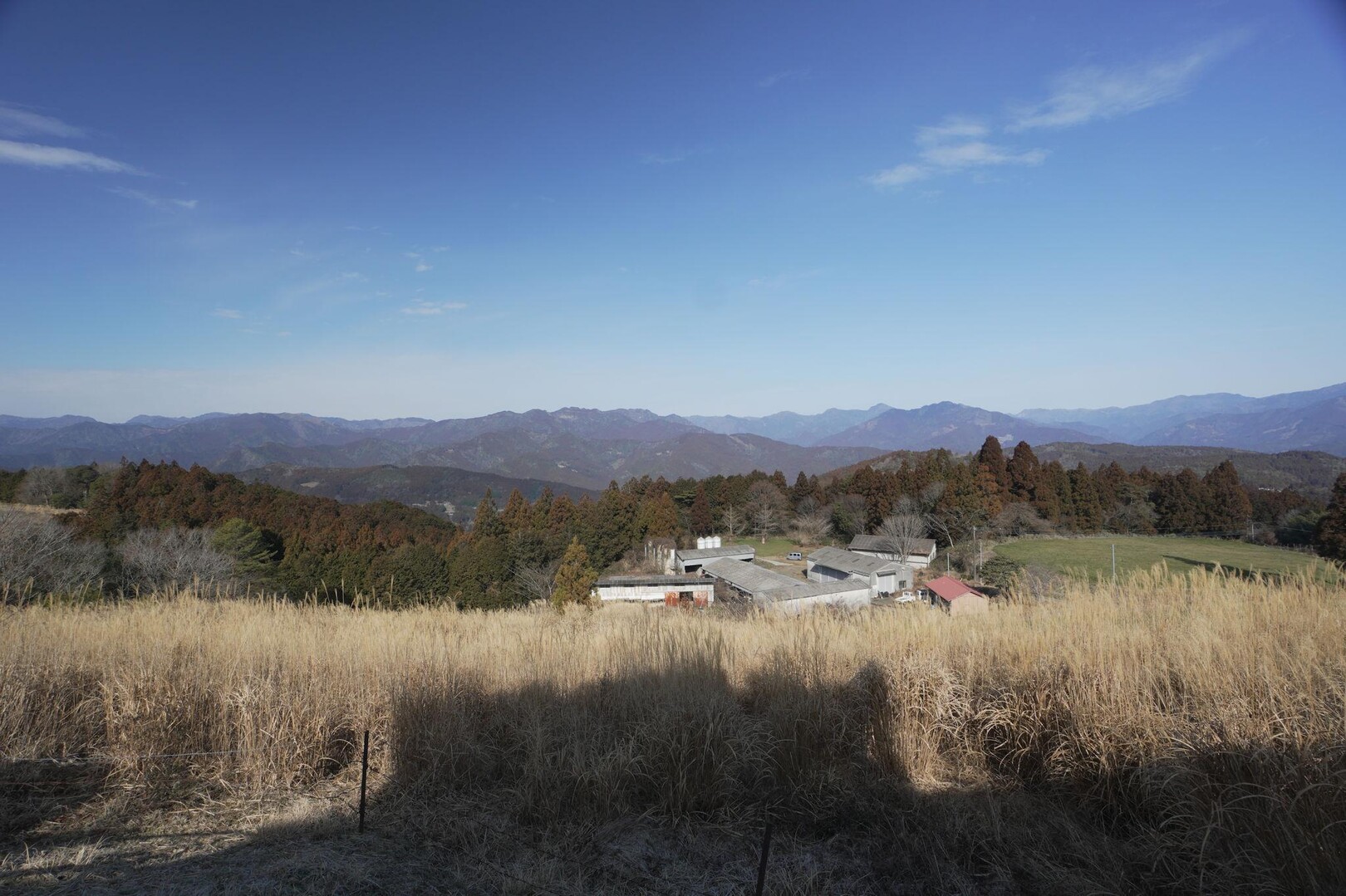 笹ヶ峰 / FRVさんの工石山の活動データ | YAMAP / ヤマップ