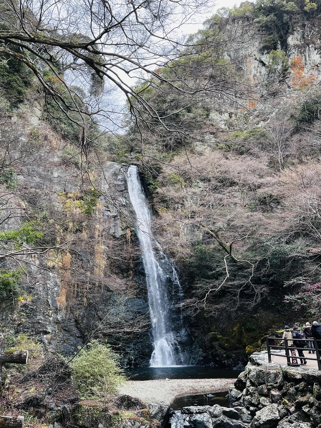 新春箕面大滝トレイル-2024-01-01 / Mijyaさんの六個山・鉢伏山・明ヶ田尾山・五月山の活動データ | YAMAP / ヤマップ