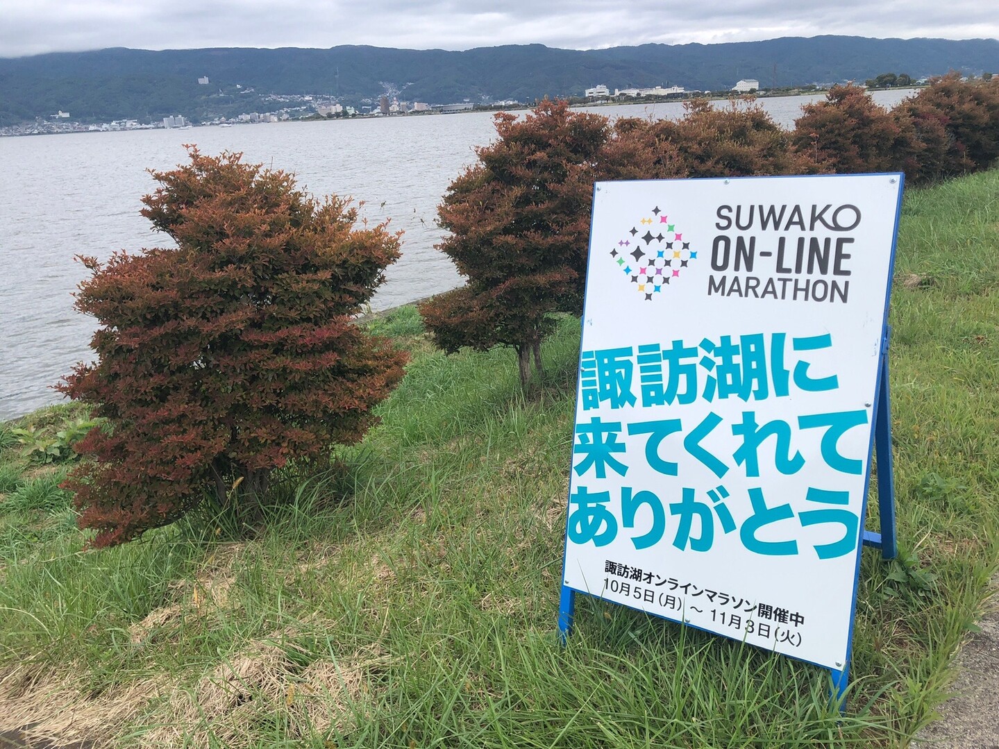 GO TO トレイル⑤ 旅ラン16キロ 諏訪湖一周 / ケイスケさんのランニングの活動データ | YAMAP / ヤマップ