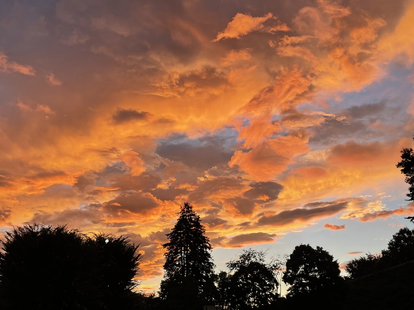 白谷ノ丸・黒岳・川胡桃沢の頭・牛奥ノ雁ガ腹摺山・小金沢山・白谷小丸 / Harukiさんの雁ヶ腹摺山・岩殿山の活動データ | YAMAP / ヤマップ