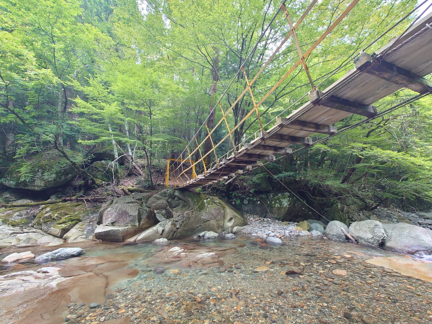 北アルプス遠征トレーニング\(^o^)／（Vol.2祖母山黒金尾根） / SHIROさんの祖母山の活動データ | YAMAP / ヤマップ