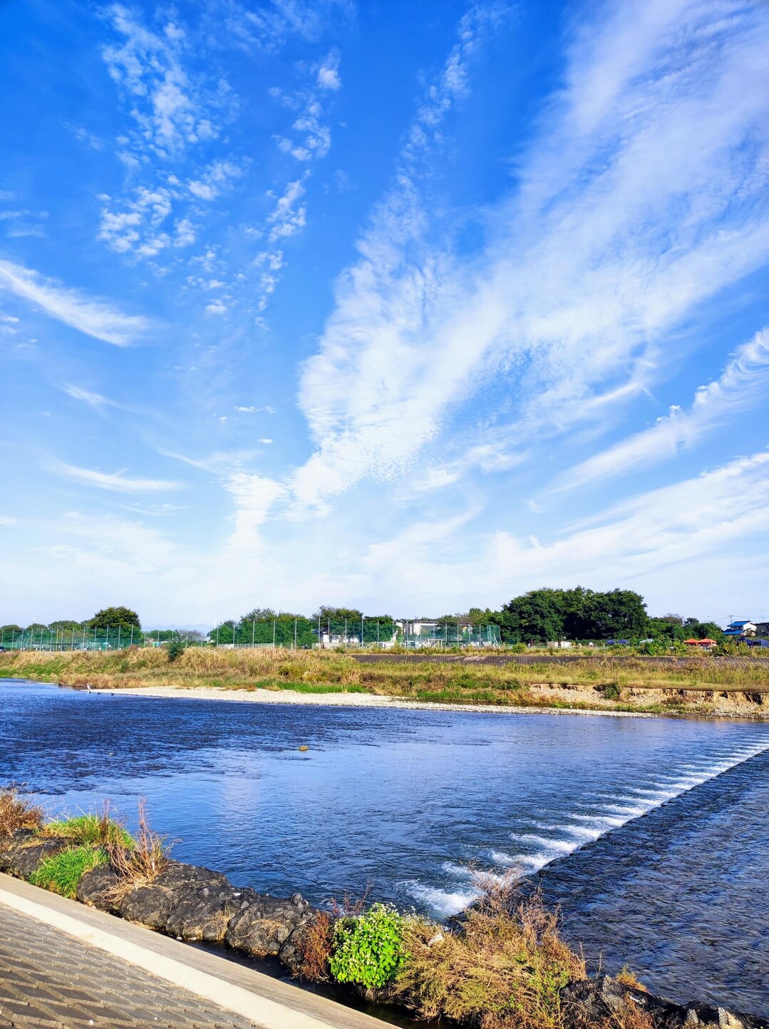 今日は山へ行く気力がなかった。久しぶりに... / mappyさんのモーメント | YAMAP / ヤマップ