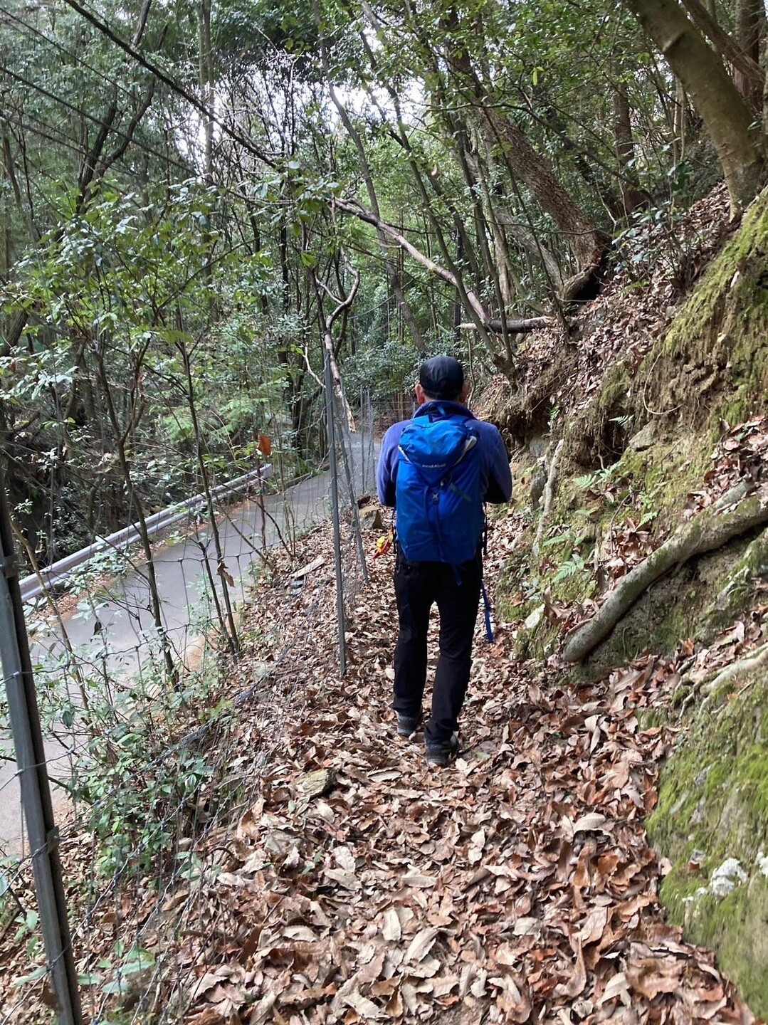 2023 山納 / KOUJI-hiraさんの音羽山・醍醐山の活動データ | YAMAP / ヤマップ