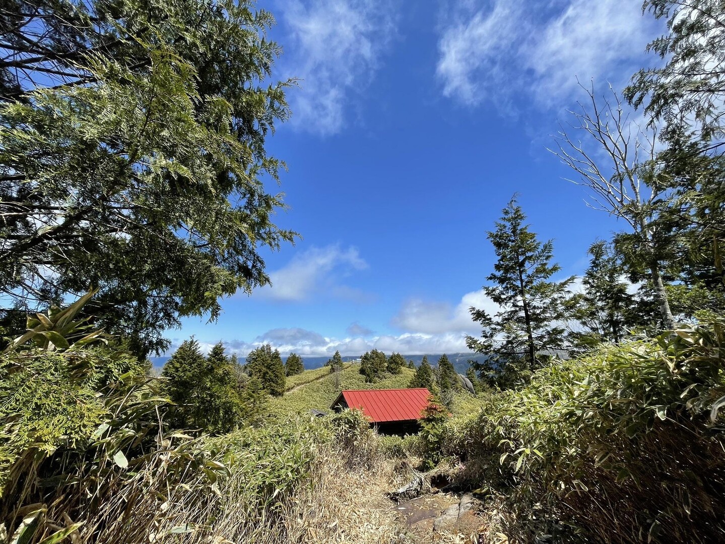 南木曽岳・摩利支天 / ANZUNUKOさんの南木曽岳の活動データ | YAMAP / ヤマップ