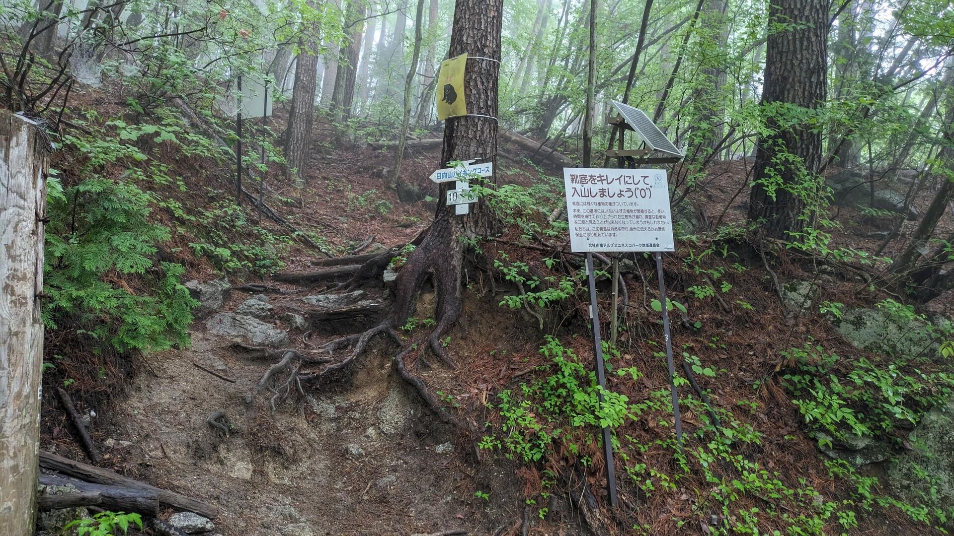 日向山 / hayaさんの雨乞岳の活動データ | YAMAP / ヤマップ
