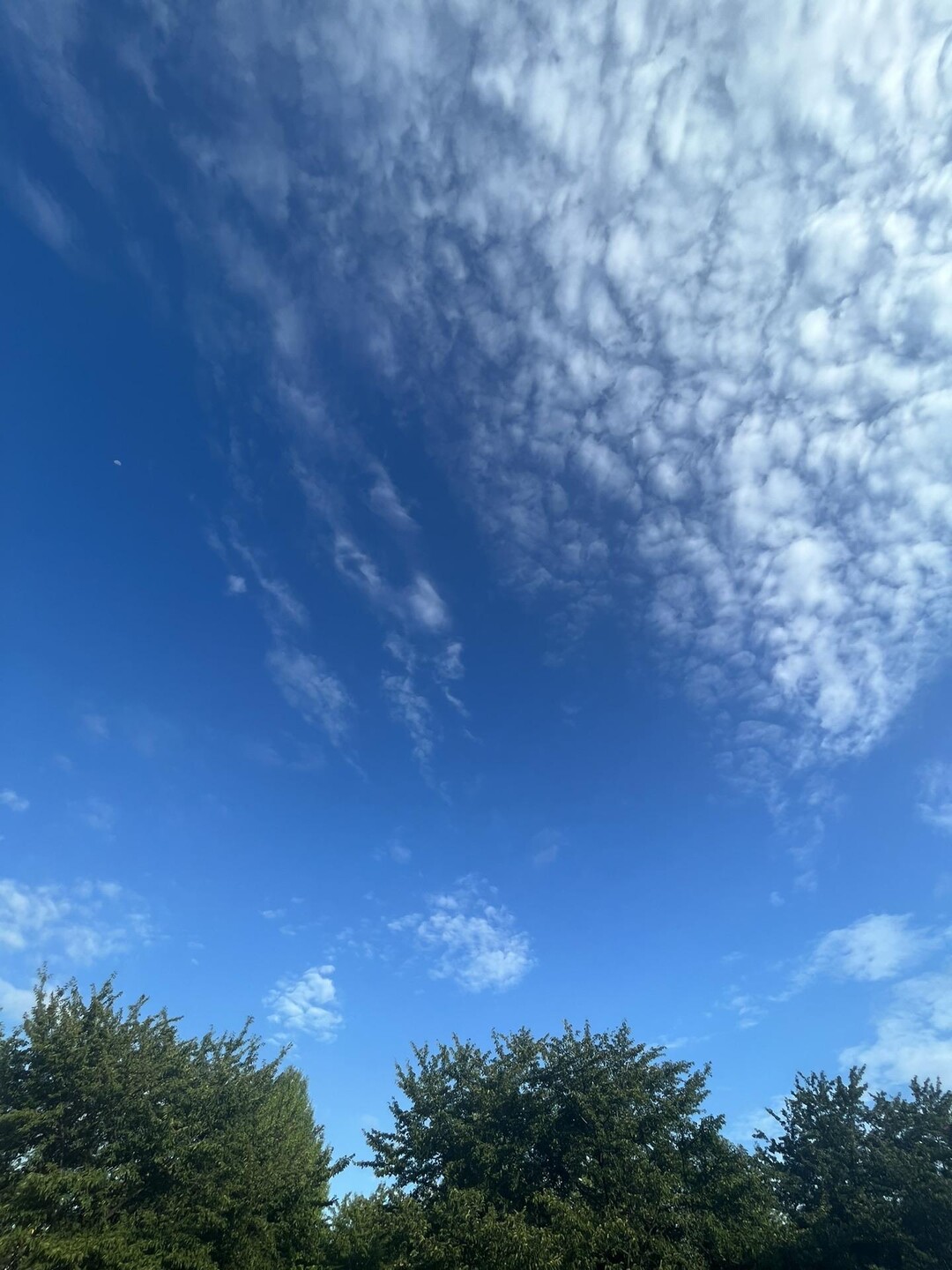 おはようございます‼️ 本日から出勤‼️... / sasaさんのモーメント | YAMAP / ヤマップ