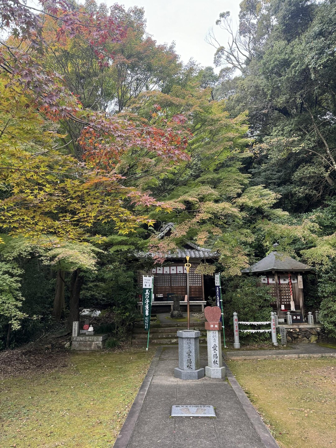 継鹿尾山 寂光院のもみじ🍁 / miruさんの鳩吹山の活動日記 | YAMAP / ヤマップ