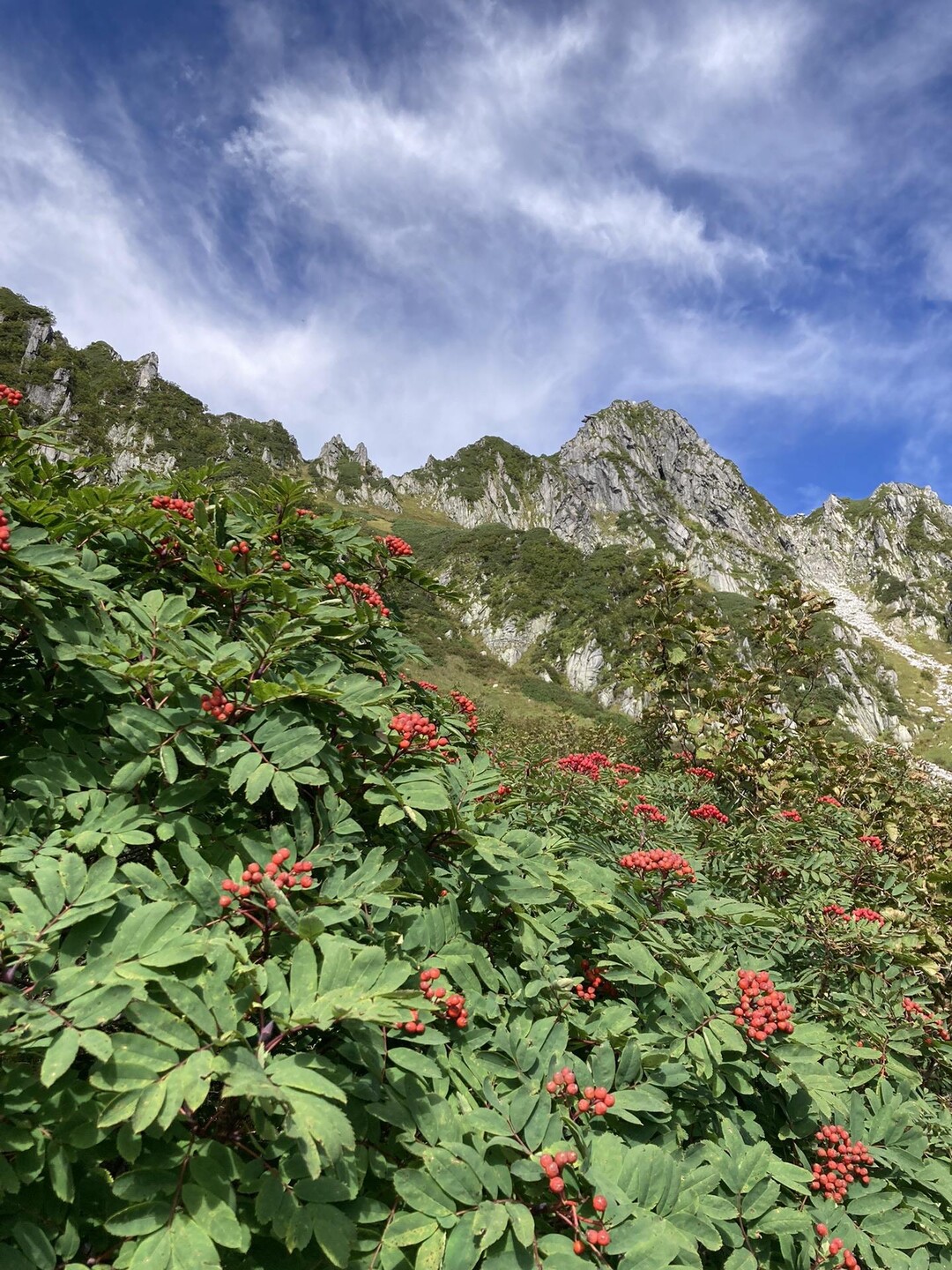 中岳・木曽駒ヶ岳（西駒ヶ岳)〜憧れの千畳敷カール / haruruさんの木曽駒ヶ岳・空木岳・越百山の活動データ | YAMAP / ヤマップ