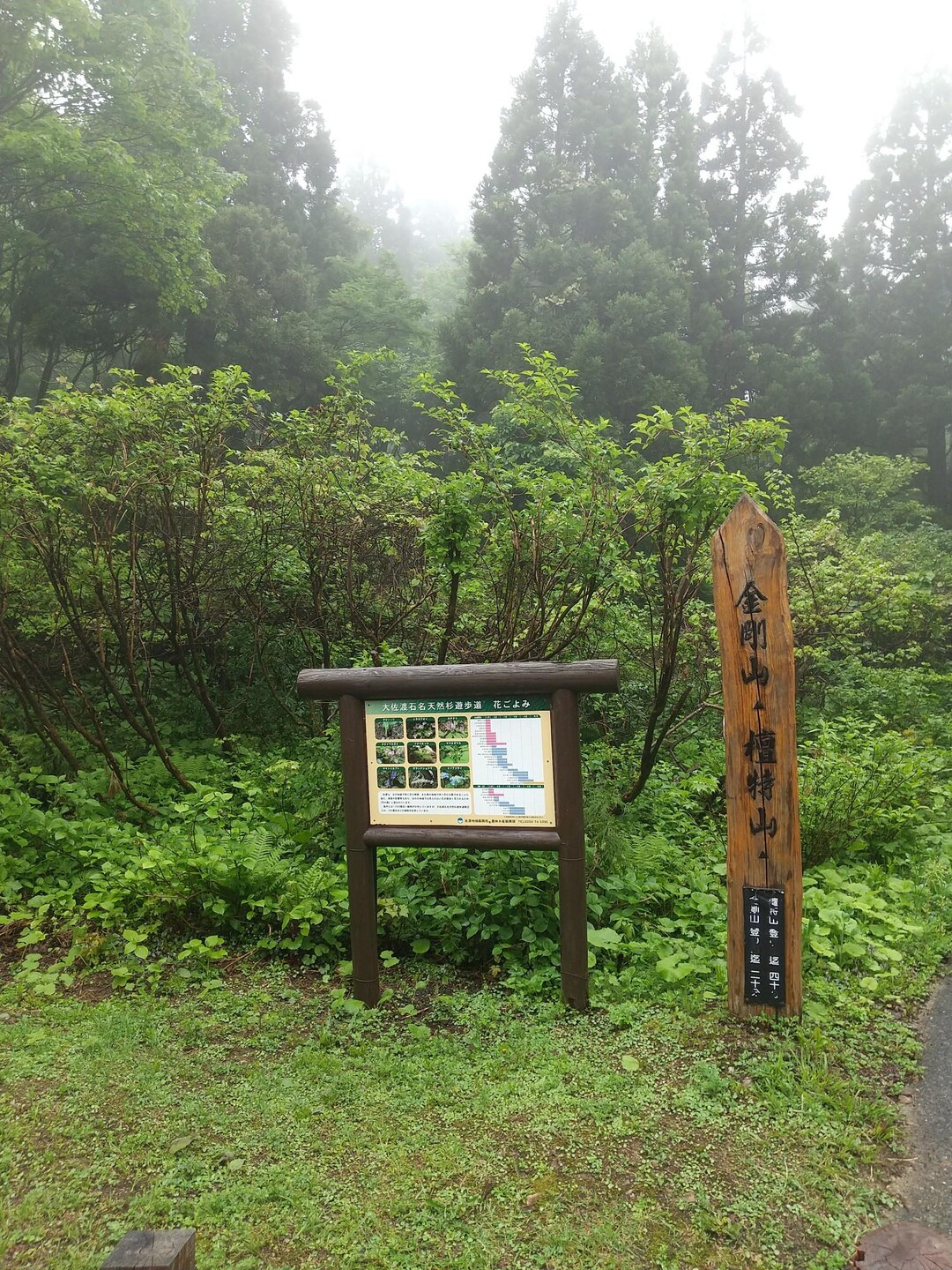 和木山・金剛山・雪畑山・芝尻山・論天山・尻立山 / marykateさんの佐渡島の活動データ | YAMAP / ヤマップ