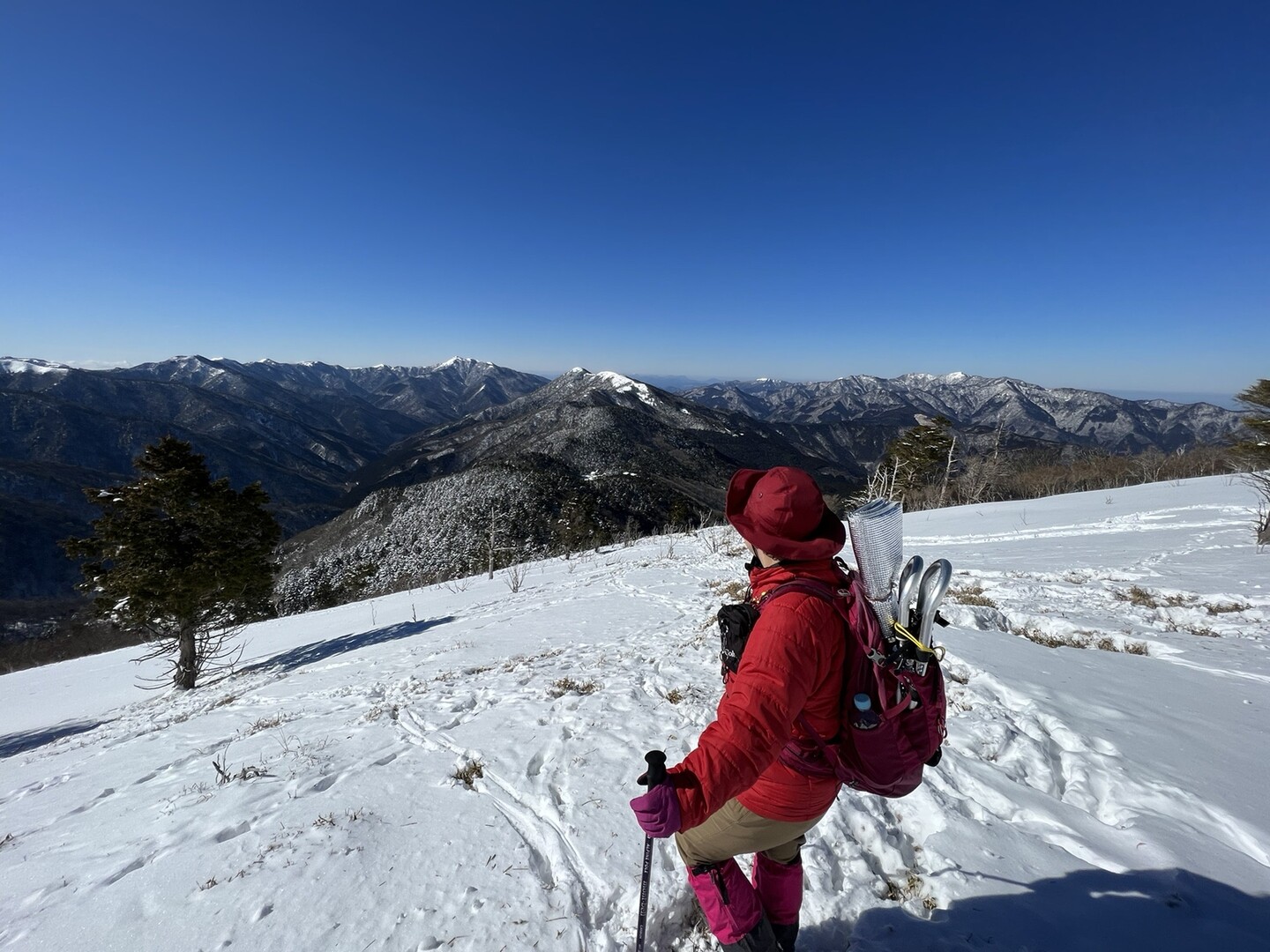 丸笹山 / ta3netさんの剣山の活動データ | YAMAP / ヤマップ