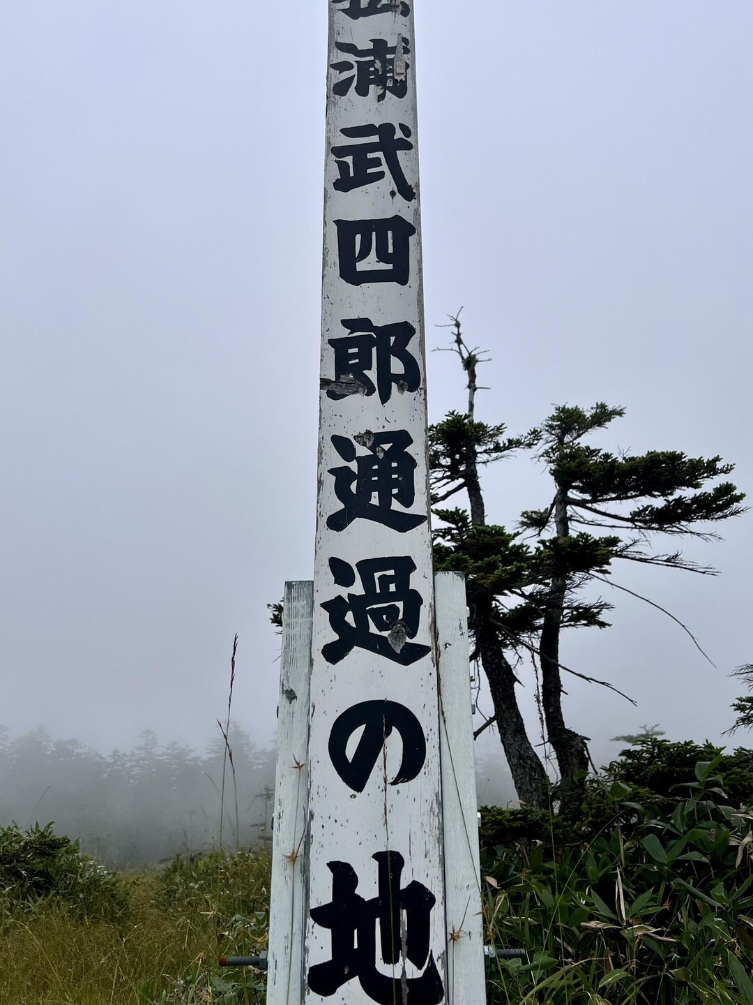 「原始ヶ原」の武四郎 / FUM!さんの十勝岳・富良野岳・美瑛岳の活動データ | YAMAP / ヤマップ