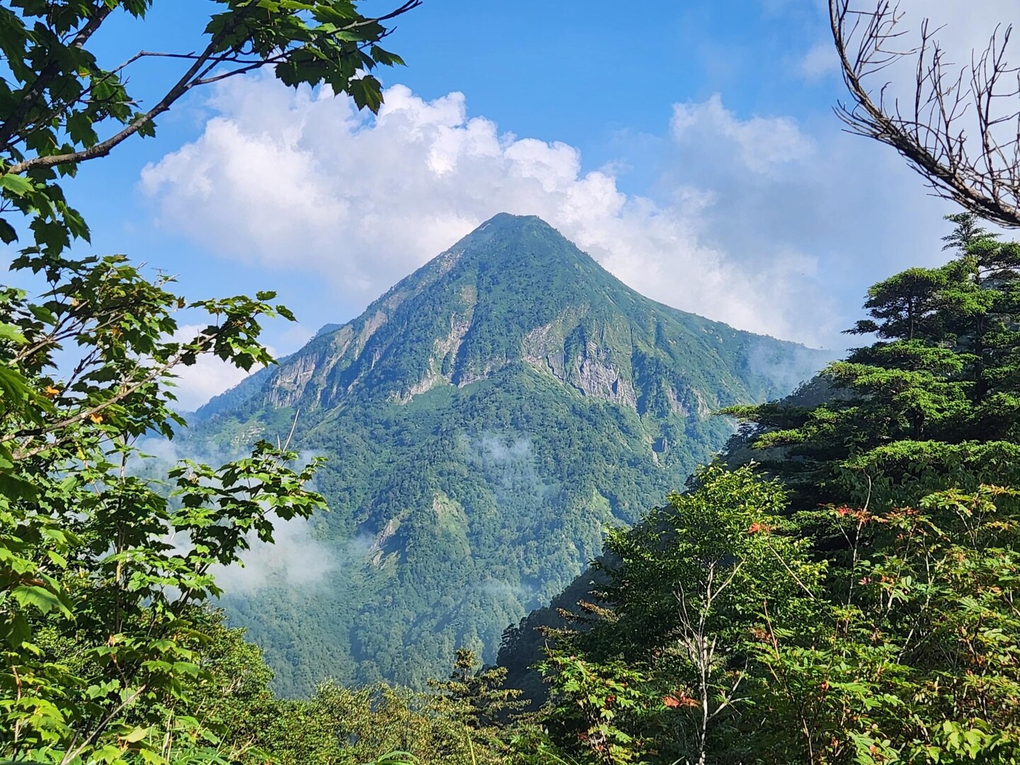 戸隠山から高妻山へ 本気でキツかった周回ルート😂 / SUGAMIさんの高妻山・戸隠山の活動データ | YAMAP / ヤマップ