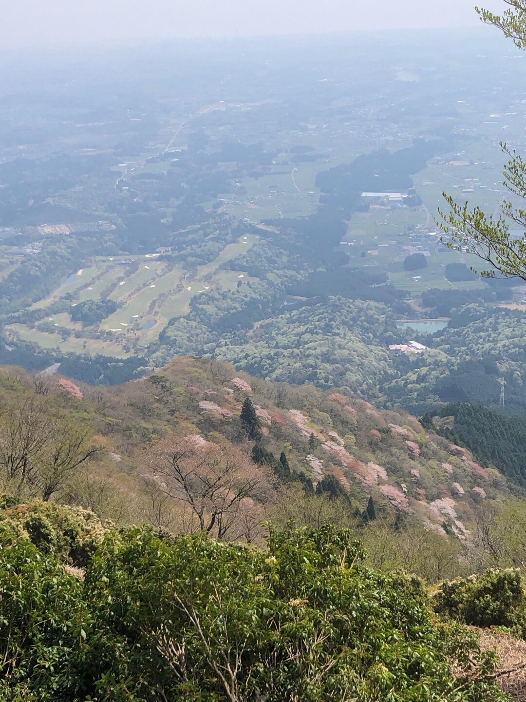 雲母峰Ⅱ峰・雲母峰・雲母西峰・P791・鎌ヶ岳 / こきちゃんさんの入道ヶ岳・鎌ヶ岳・仙ヶ岳の活動データ | YAMAP / ヤマップ