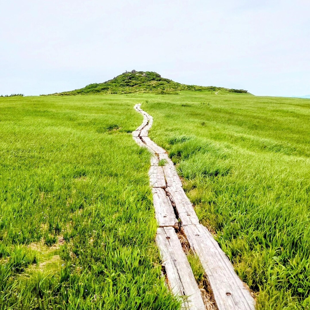 再開の山は再会の山 / POKAさんの栗駒山（須川岳）・秣岳・虚空蔵山の活動データ | YAMAP / ヤマップ