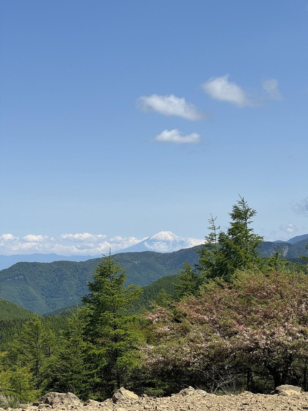 入笠山ウォーキング / KAGARIBI さんの入笠山の活動データ | YAMAP / ヤマップ