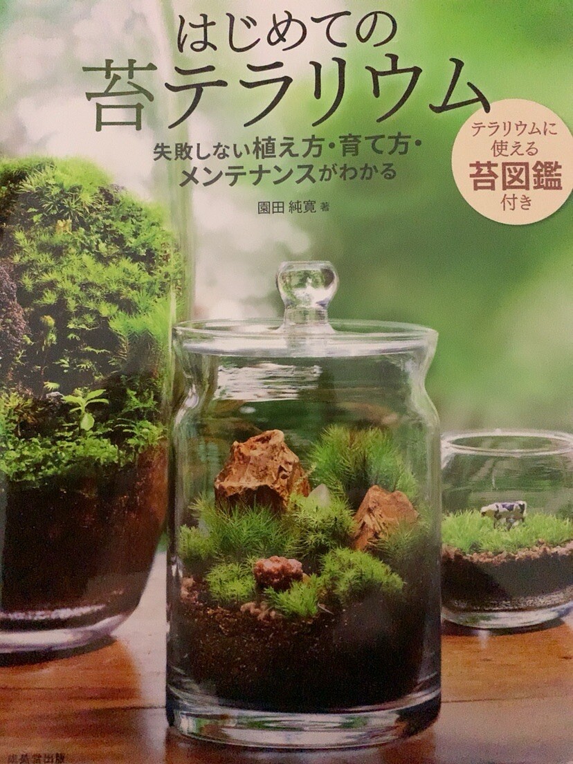 山登ってたら苔に魅せられて… 本読んで... / もこさんのモーメント | YAMAP / ヤマップ