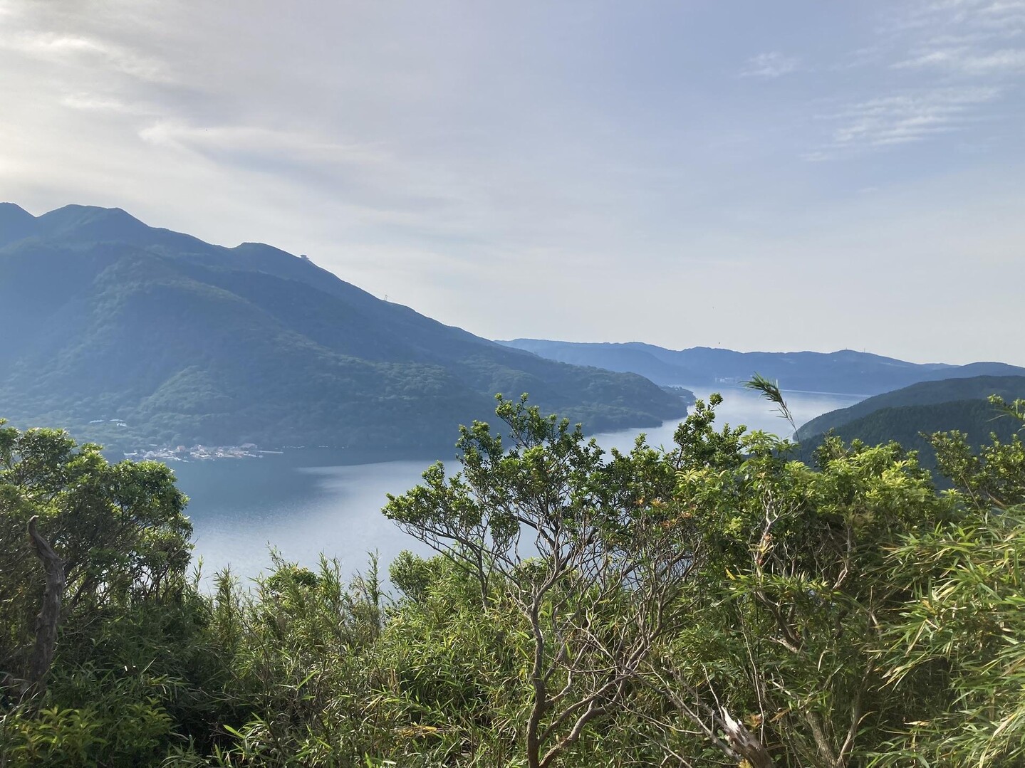 山道ULハイク / クルさんの箱根山・神山の活動データ | YAMAP / ヤマップ