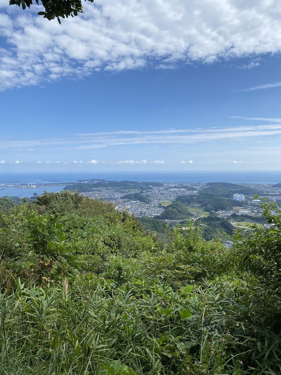 宇津野山・鷲尾山・烏帽子山 / a24さんの鷲尾山・皿ヶ峰・宇津野山の活動データ | YAMAP / ヤマップ