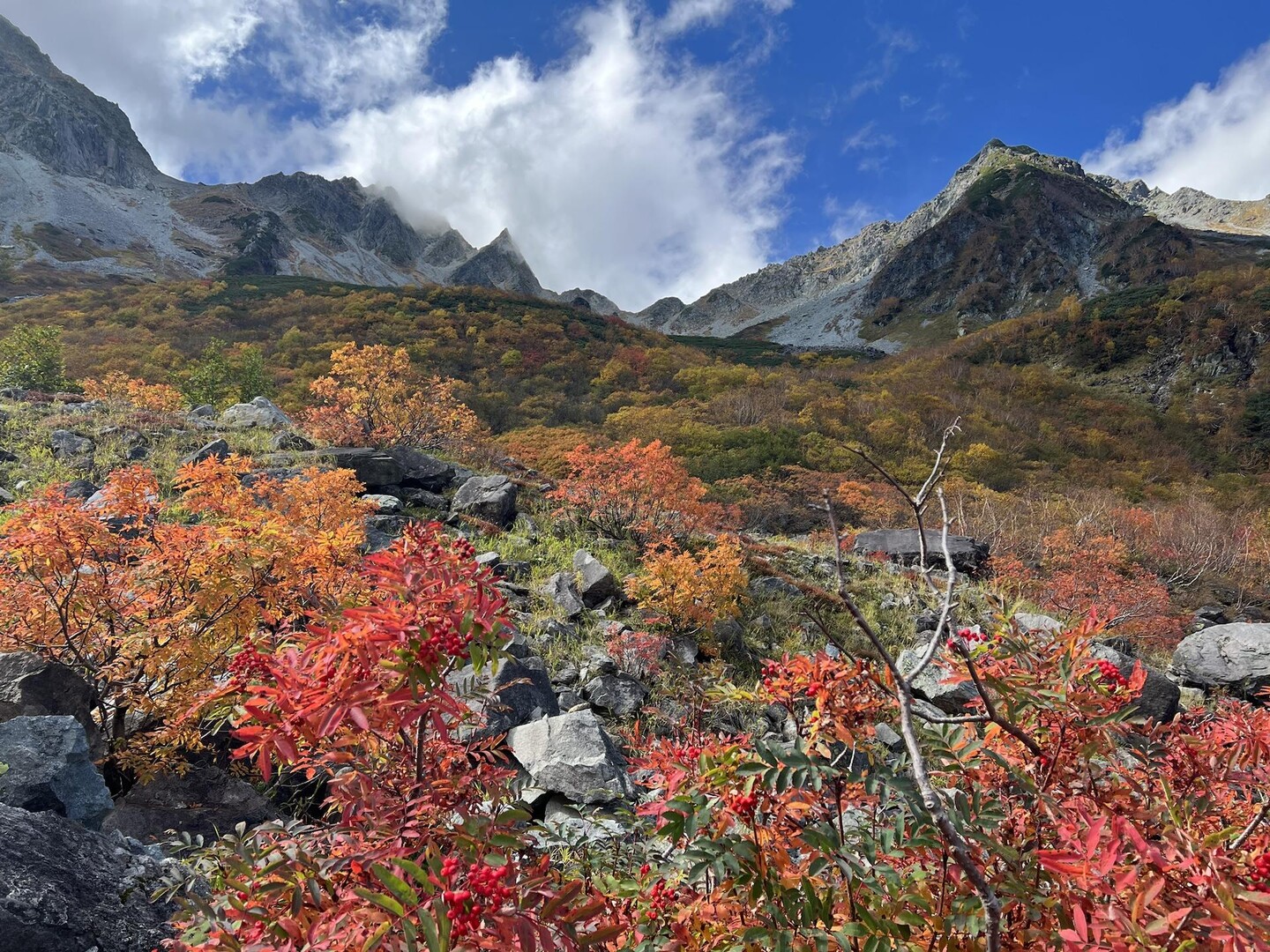 紅葉の涸沢カール / エルマのボスさんの槍ヶ岳・穂高岳・上高地の活動データ | YAMAP / ヤマップ