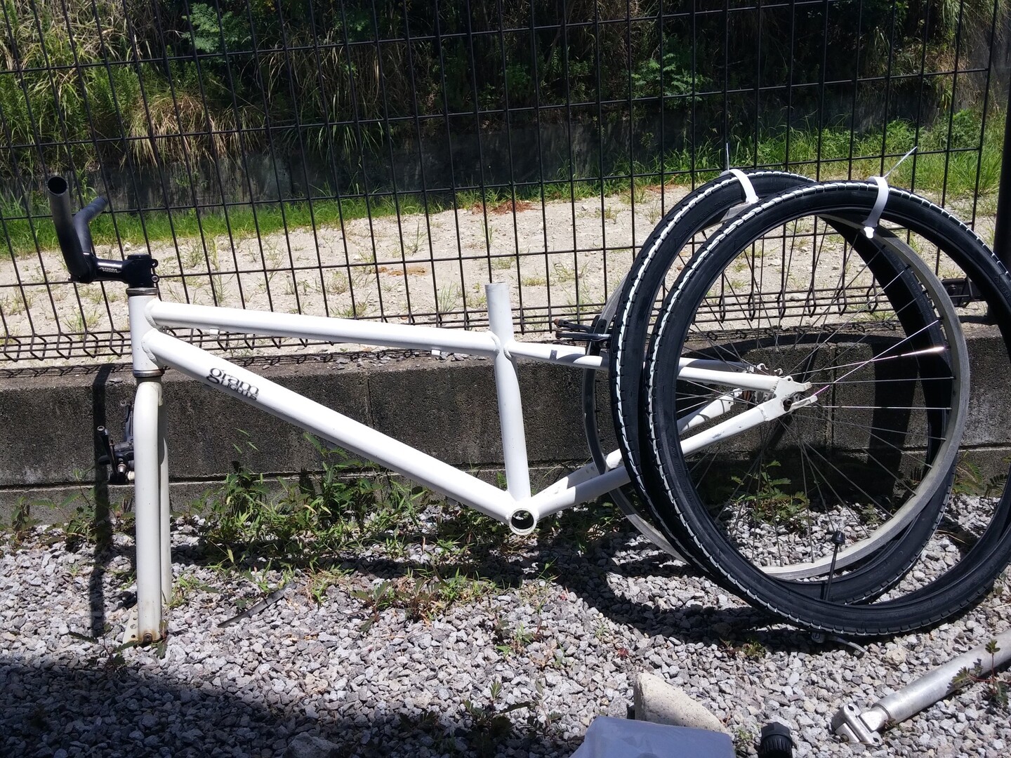 シェイクダウン あれがこうなって、こうな... / Haroldさんのモーメント | YAMAP / ヤマップ