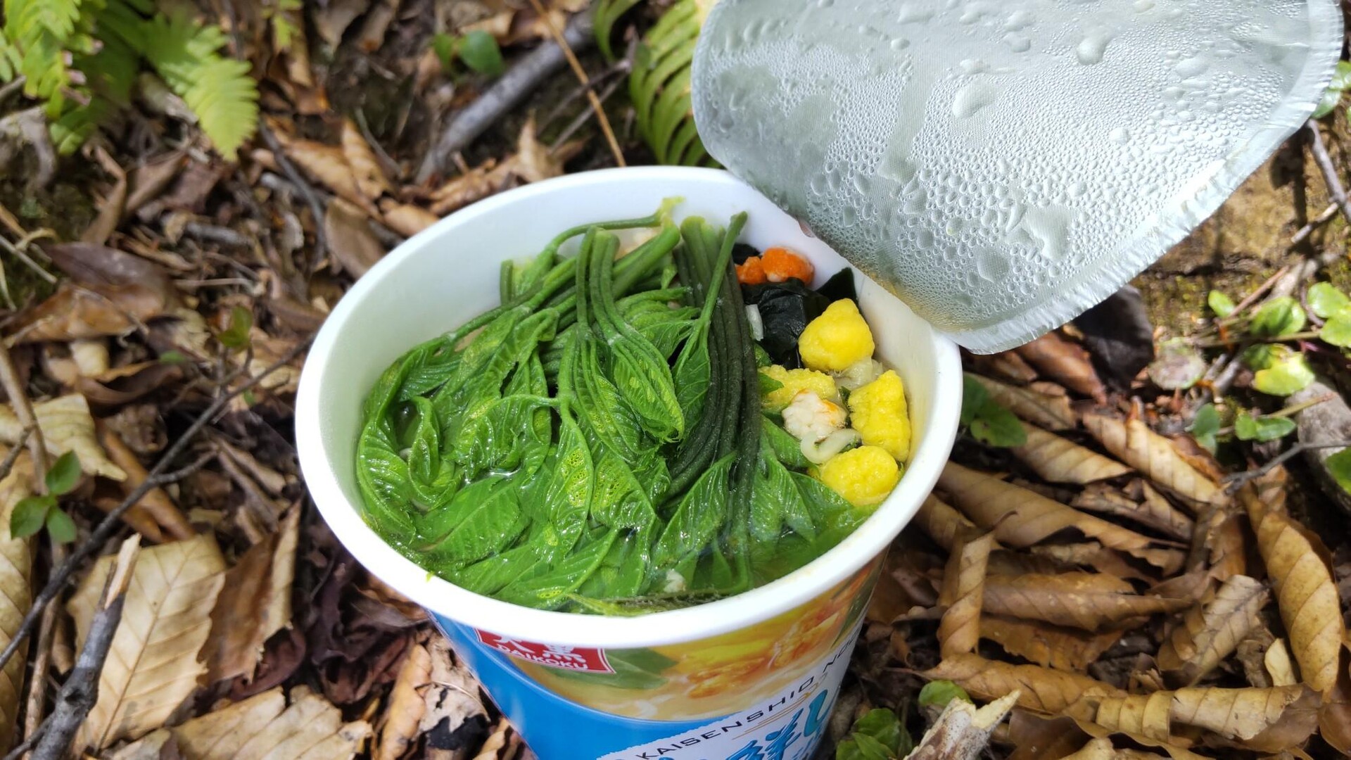 上順尾山・順尾山・大倉山 / qoo さんの高尾山・吉次山・順尾山の活動データ | YAMAP / ヤマップ